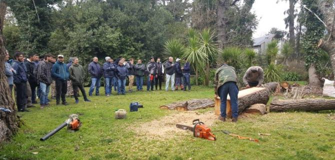 El Municipio realizó la primera jornada integral de manejo de arbolado ...